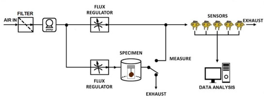 Overview of Gas Sensors Focusing on Chemoresistive Ones for Cancer ...