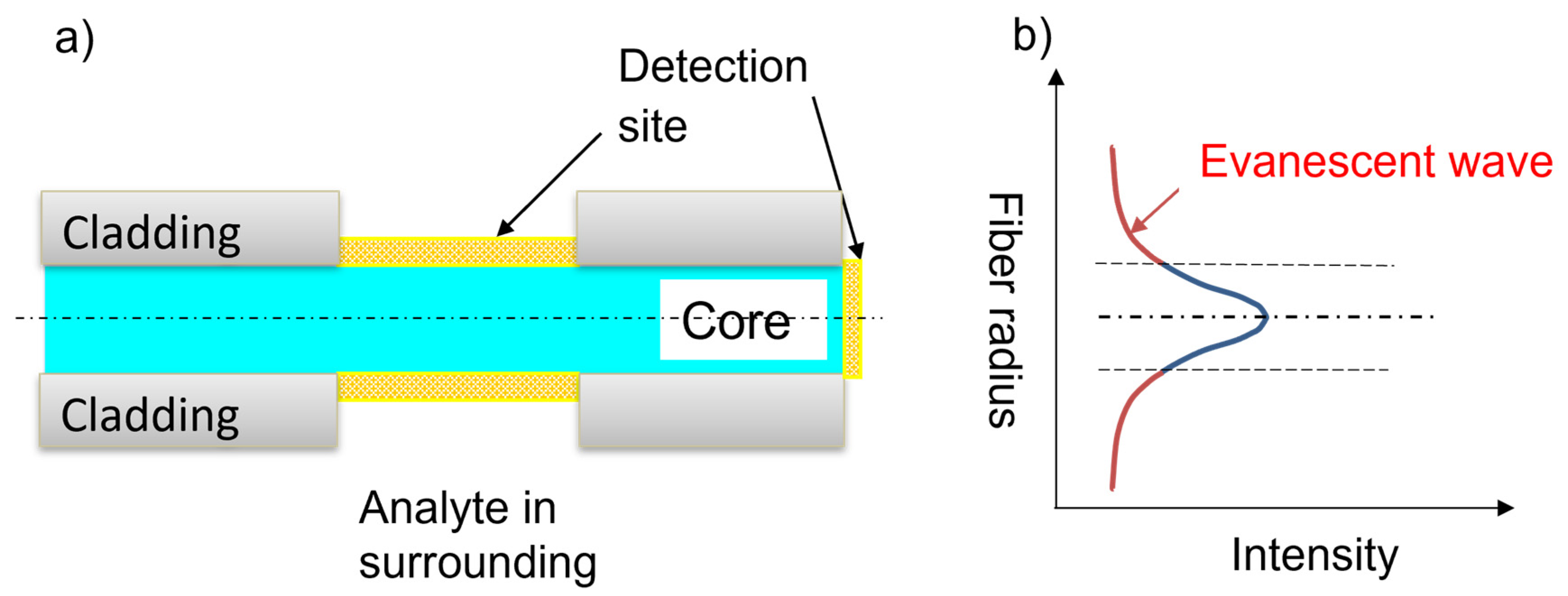Chemosensors | Free Full-Text | Fiber-Optic Nanosensors for Chemical ...