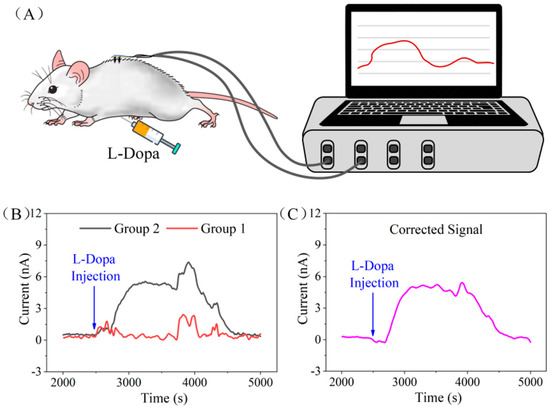 A Critical Overview of Enzyme-Based Electrochemical Biosensors for L ...