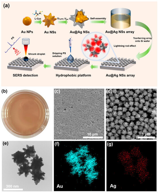 Engineering Branched Au@Ag Nanostar Plasmonic Array for Coupling ...