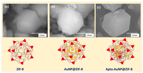 Pysanka-Inspired Electrode Modification with Aptamer Encapsulation in ...