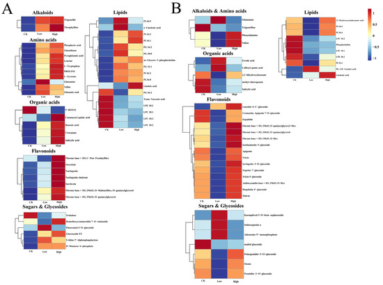 Assessing the Effects of Cadmium Stress on the Growth, Physiological ...
