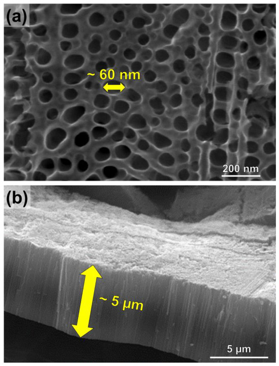 Ultrafast Electrochemical Self-Doping of Anodic Titanium Dioxide ...