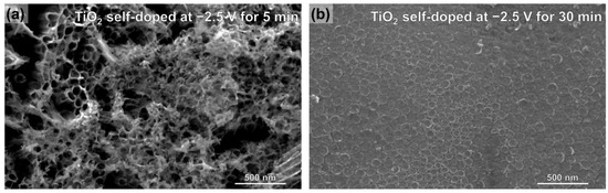 Chemosensors | Free Full-Text | Ultrafast Electrochemical Self-Doping of Anodic Titanium Dioxide ...