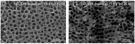 Ultrafast Electrochemical Self-Doping of Anodic Titanium Dioxide ...