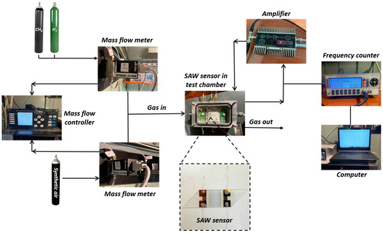 High-Sensitivity H2 and CH4 SAW Sensors with Carbon Nanowalls and ...