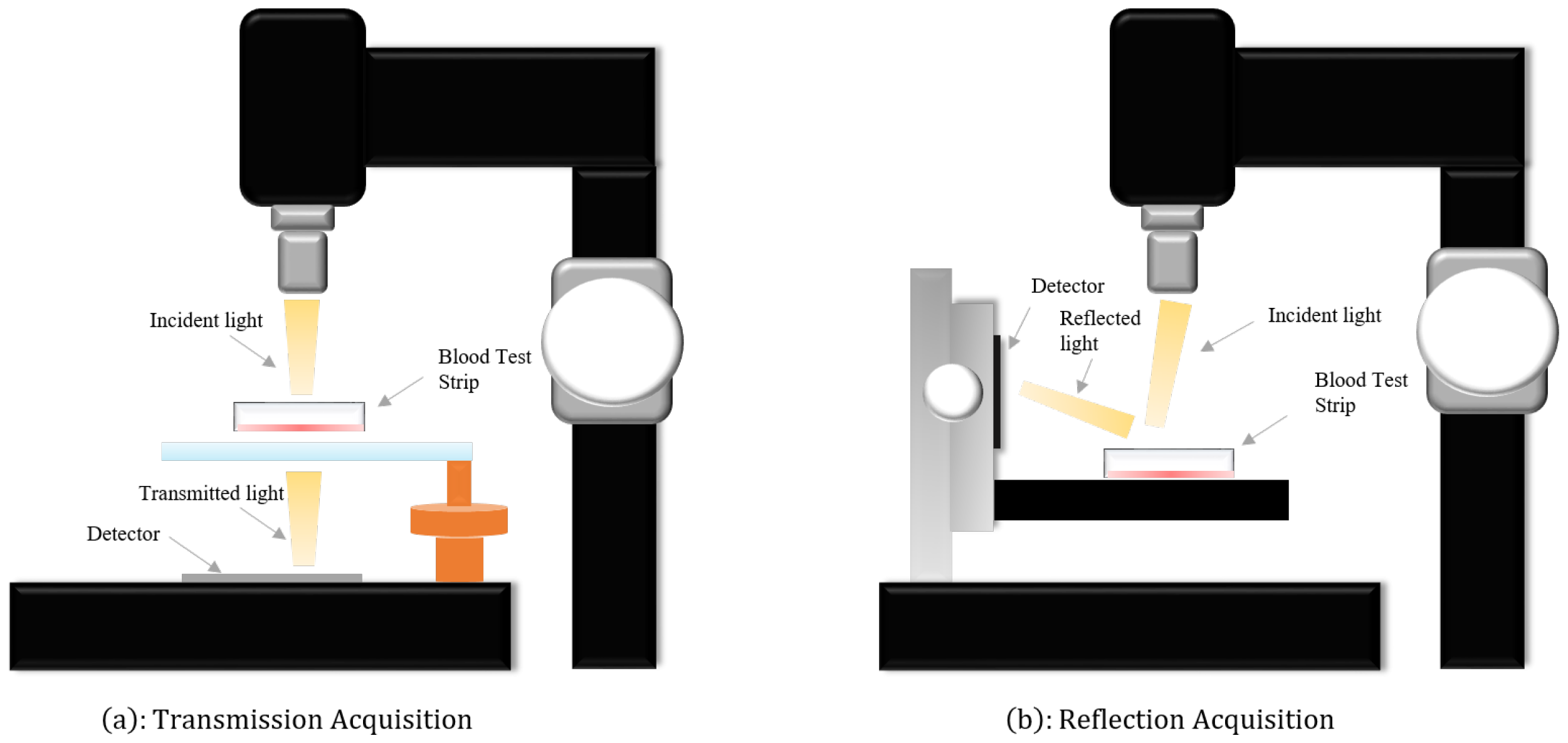 RepDwNet: Lightweight Deep Learning Model for Special Biological Blood ...