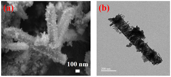 CoNiTe2 Nanomaterials as an Efficient Non-Enzymatic Electrochemical ...