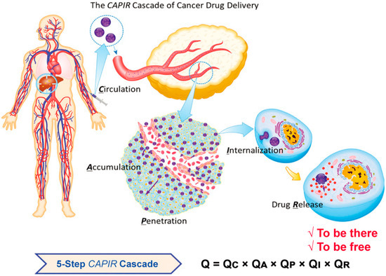 Advanced NIR-II Fluorescence Imaging Technology for Precise Evaluation ...