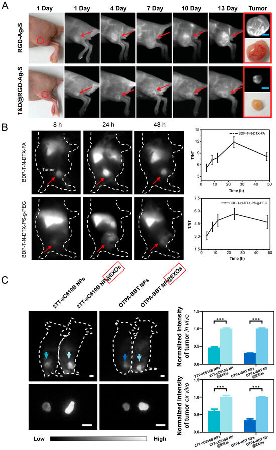 Advanced NIR-II Fluorescence Imaging Technology for Precise Evaluation ...