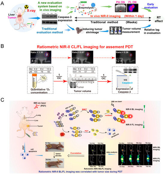 Advanced NIR-II Fluorescence Imaging Technology for Precise Evaluation of Nanomedicine Delivery ...