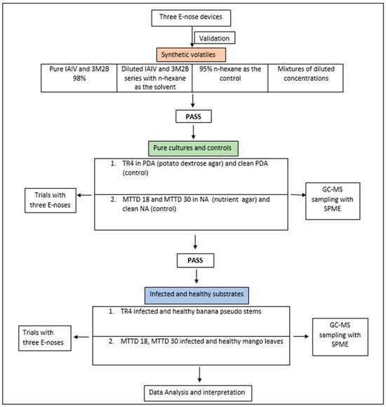 Electronic Nose and GC-MS Analysis to Detect Mango Twig Tip Dieback in ...
