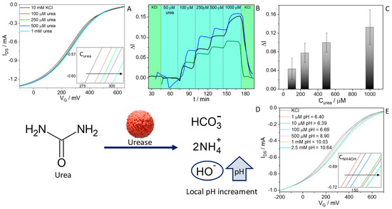 Urea Biosensing through Integration of Urease to the PEDOT-Polyamine ...