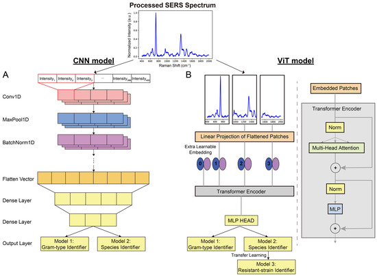 Chemosensors | Free Full-Text | Machine Learning-Assisted Raman ...