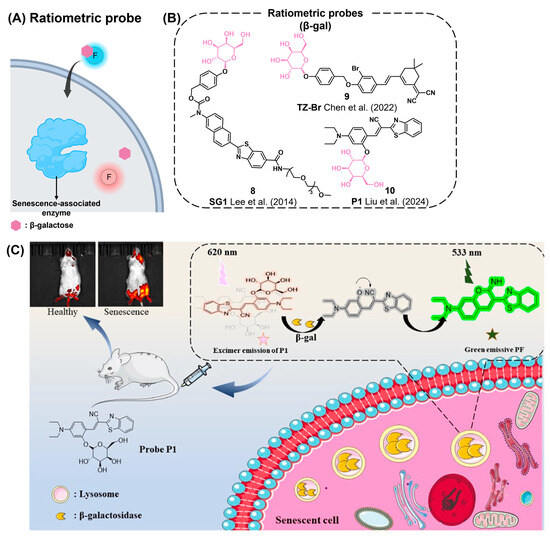 Recent Developments in Small-Molecule Fluorescent Probes for Cellular ...