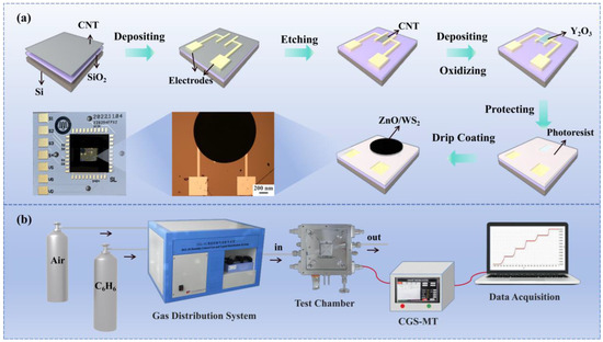 Carbon-Based FET-Type Gas Sensor for the Detection of ppb-Level Benzene ...