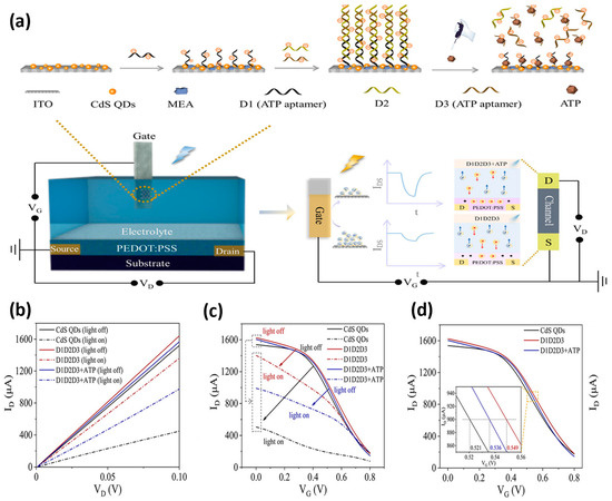 Functional Organic Electrochemical Transistor-Based Biosensors for ...