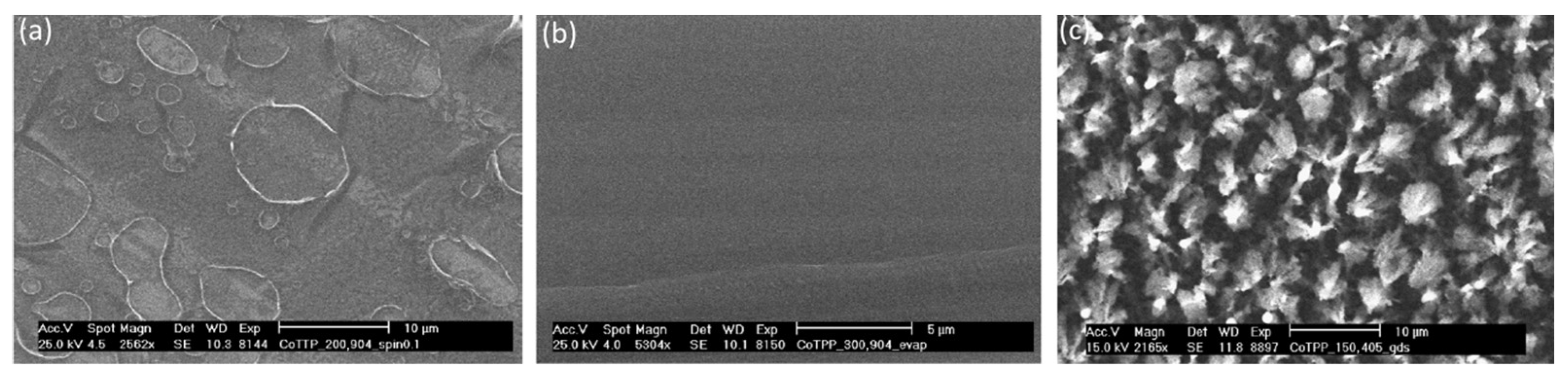 The Optical Sensing of Volatile Organic Compounds Using Porphyrins
