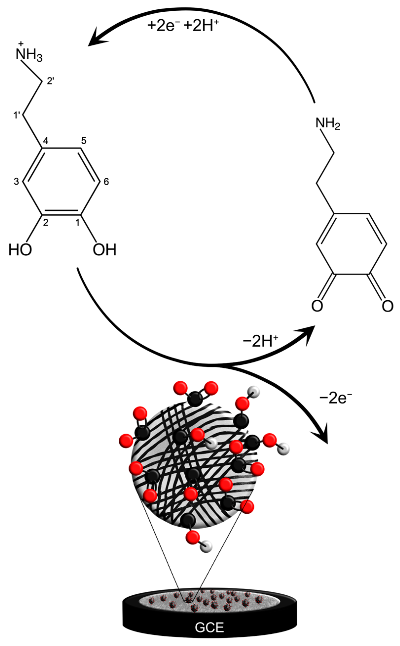 Electrochemical Detection of Dopamine with Graphene Oxide Carbon Dots ...