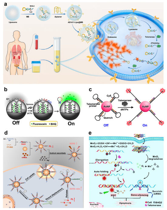 Recent Advances in DNA Systems for In Situ Telomerase Activity ...