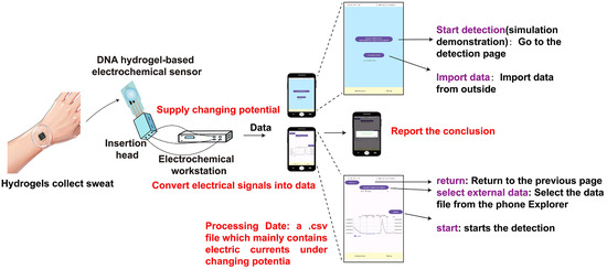 Non-Invasive Detection of Interferon-Gamma in Sweat Using a Wearable ...