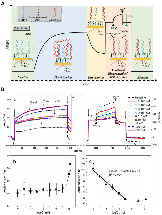 Promising Solutions to Address the Non-Specific Adsorption in ...