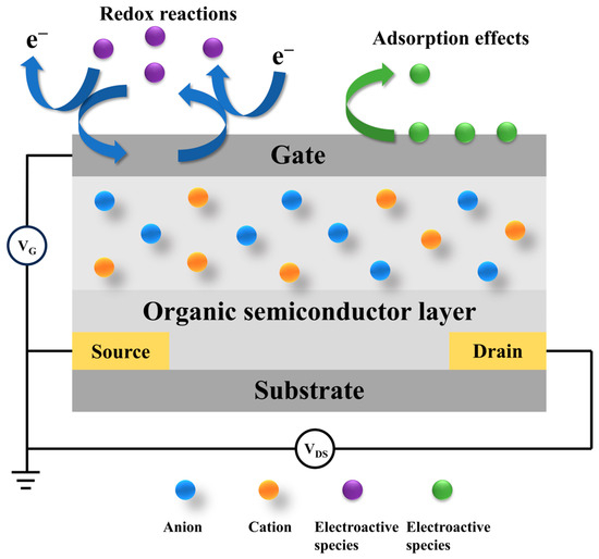 Integrated Perspective on Functional Organic Electrochemical ...