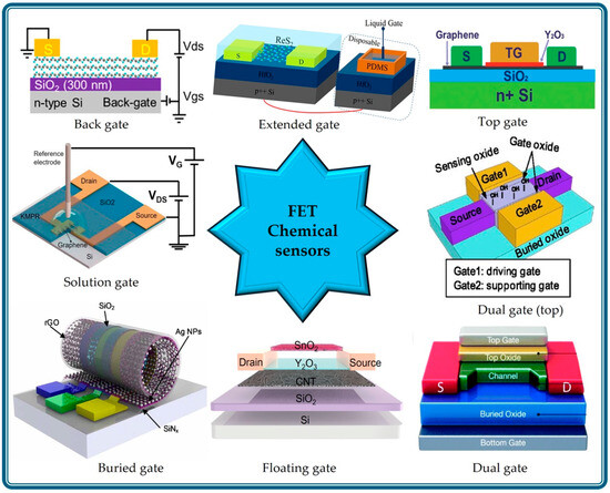 Gate Engineering in Two-Dimensional (2D) Channel FET Chemical Sensors ...
