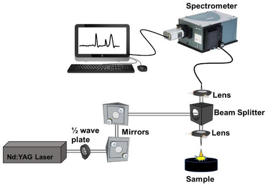 Rare Earth Element Detection and Quantification in Coal and Rock ...