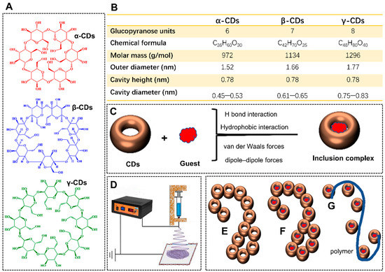 Cyclodextrin-Based Host–Guest Supramolecular Nanofibrous Composite for Biomedical Applications