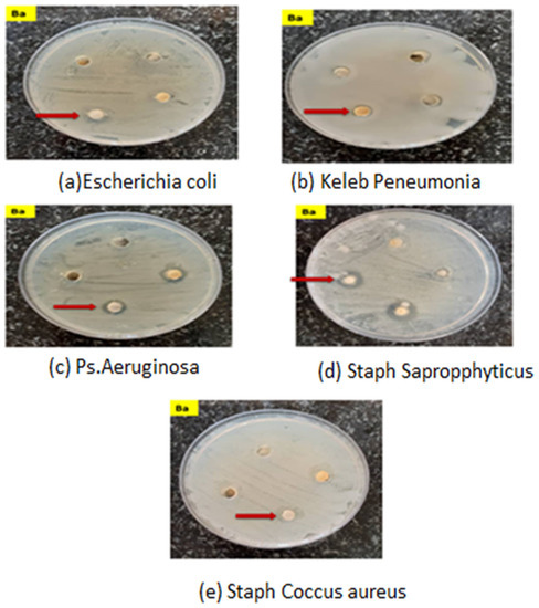 Chemistry Proceedings | Free Full-Text | Antimicrobial Activity of Ba-MOF