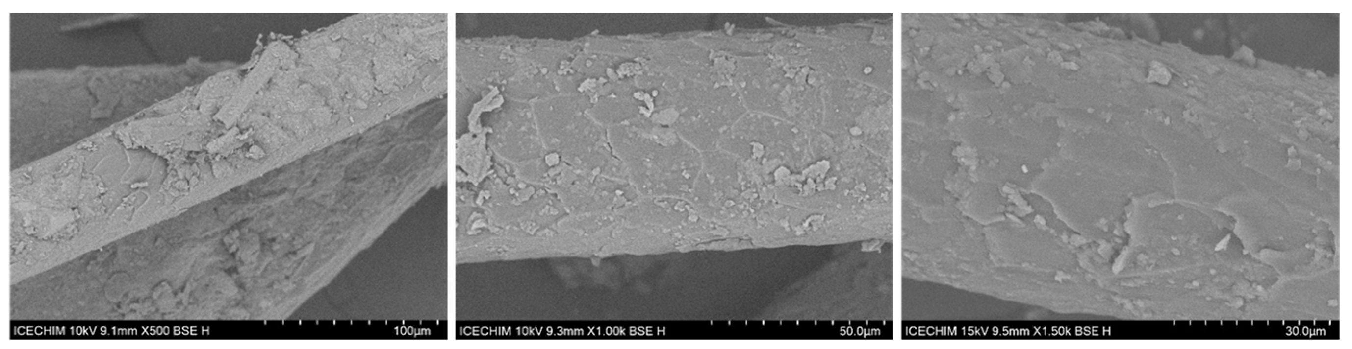 Impregnated Sheep Wool Fibers with an Antimicrobial Effect
