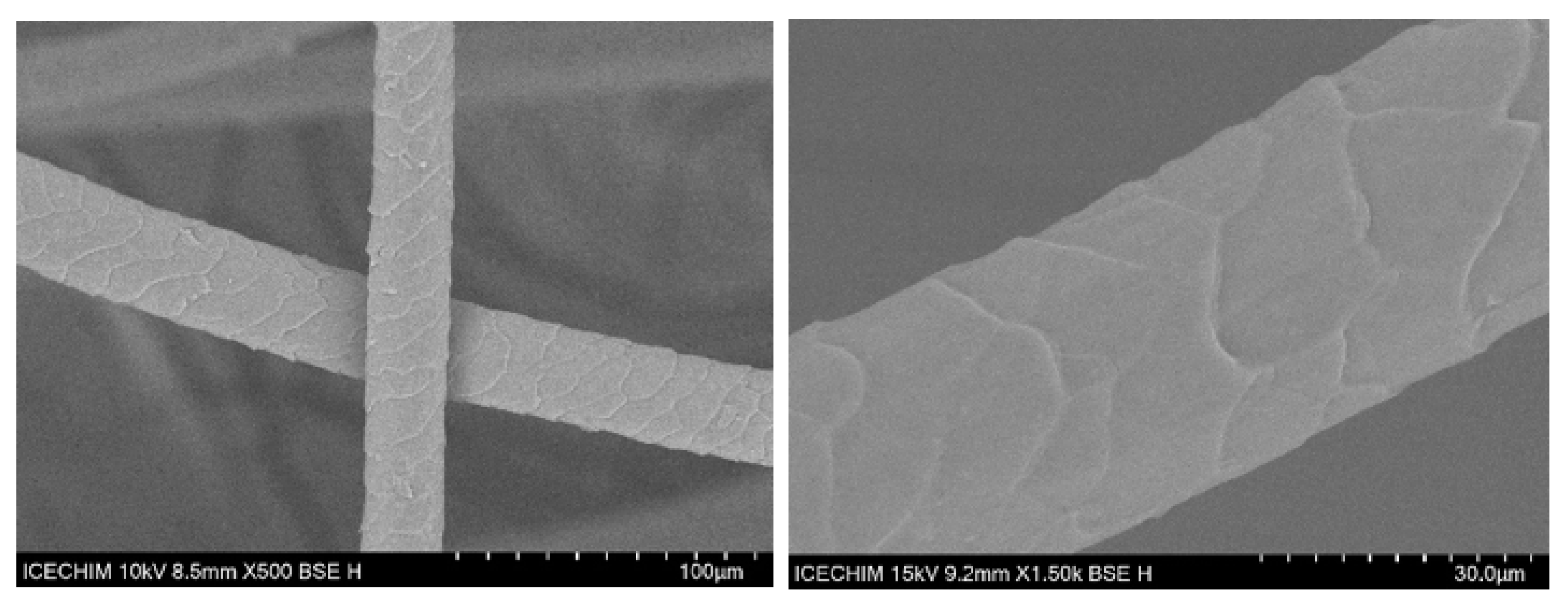 Impregnated Sheep Wool Fibers with an Antimicrobial Effect