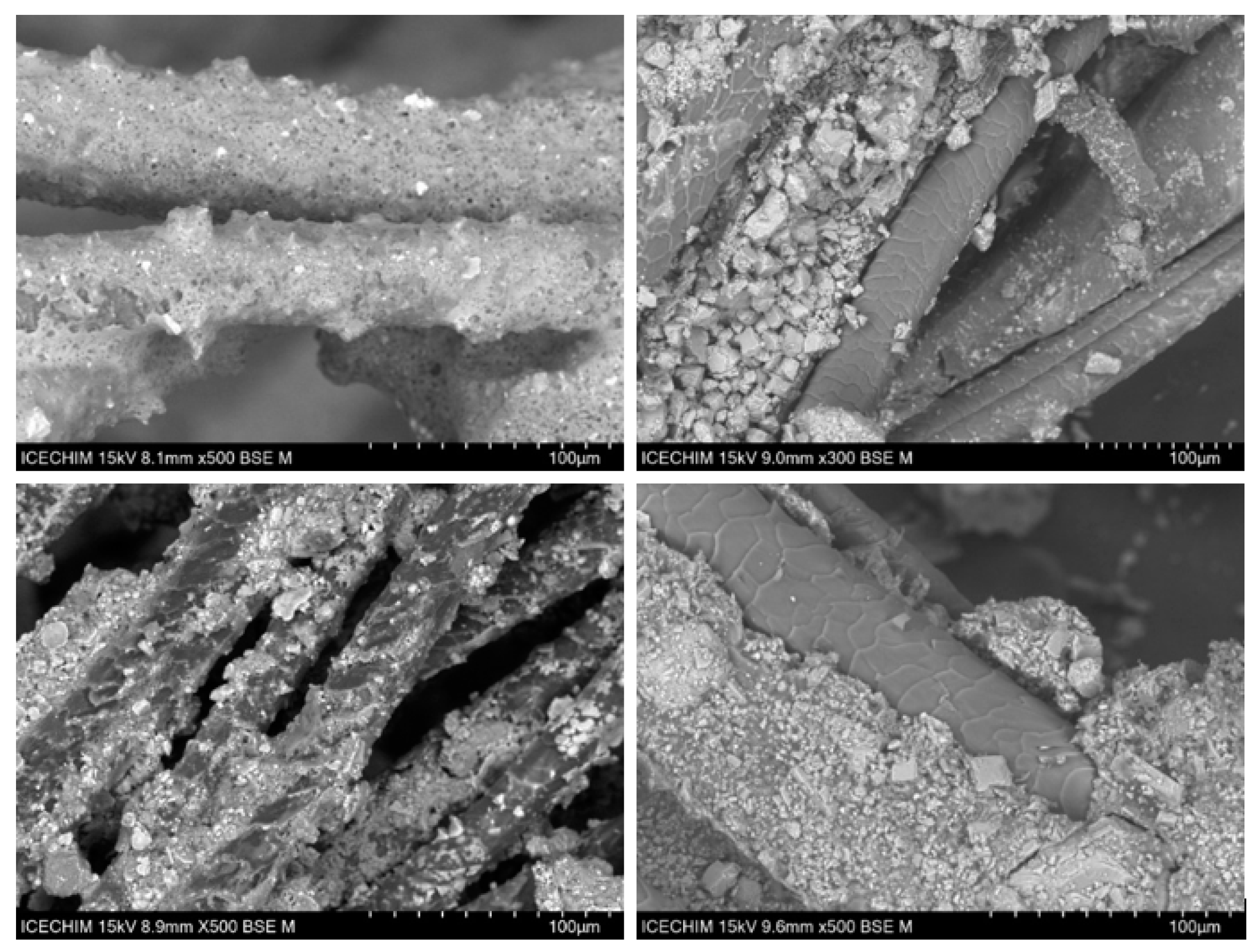 Impregnated Sheep Wool Fibers with an Antimicrobial Effect