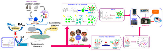 Practical Aspects of Biogenic Amines Detection