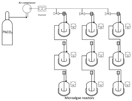 Chemistry Proceedings | Free Full-Text | Optimization of an Experimental Model for Microalgae ...