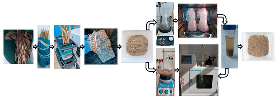 Preparation of Ceramic Granules Enriched with Silicon Extracted from Reeds