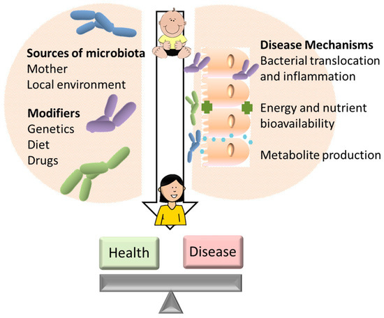 Development of the Gut Microbiome in Children, and Lifetime ...