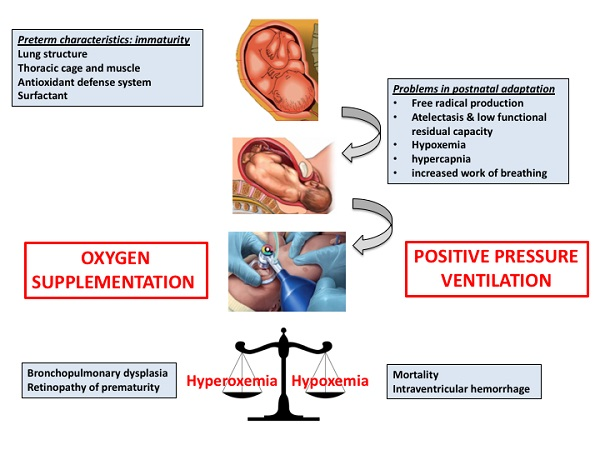 Children | Free Full-Text | Optimal Inspired Fraction of Oxygen in the ...