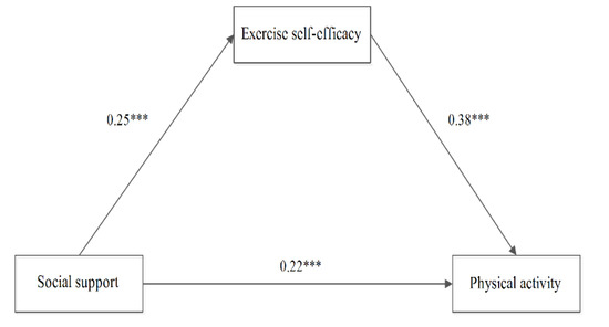 The Influence of Social Support on Physical Activity in Chinese ...