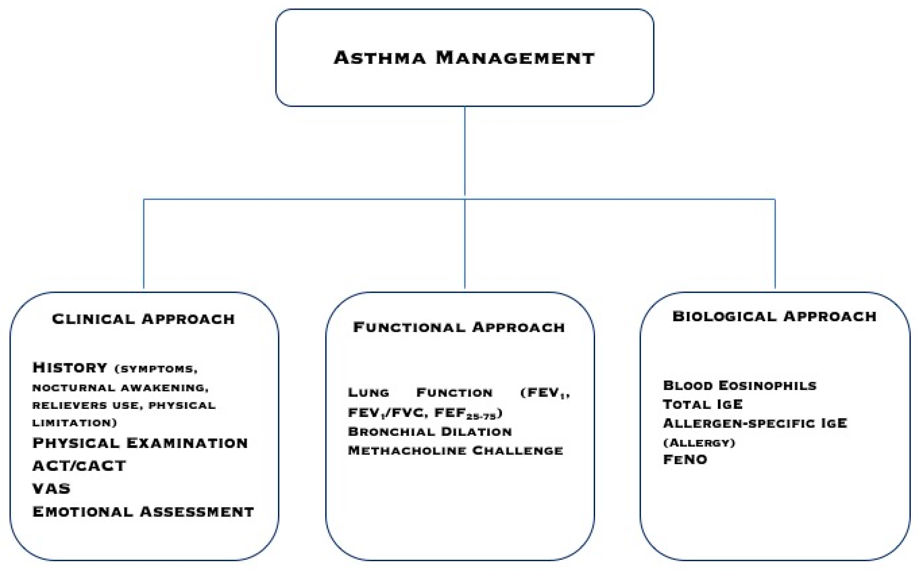 Pragmatic Markers in the Management of Asthma: A Real-World-Based Approach