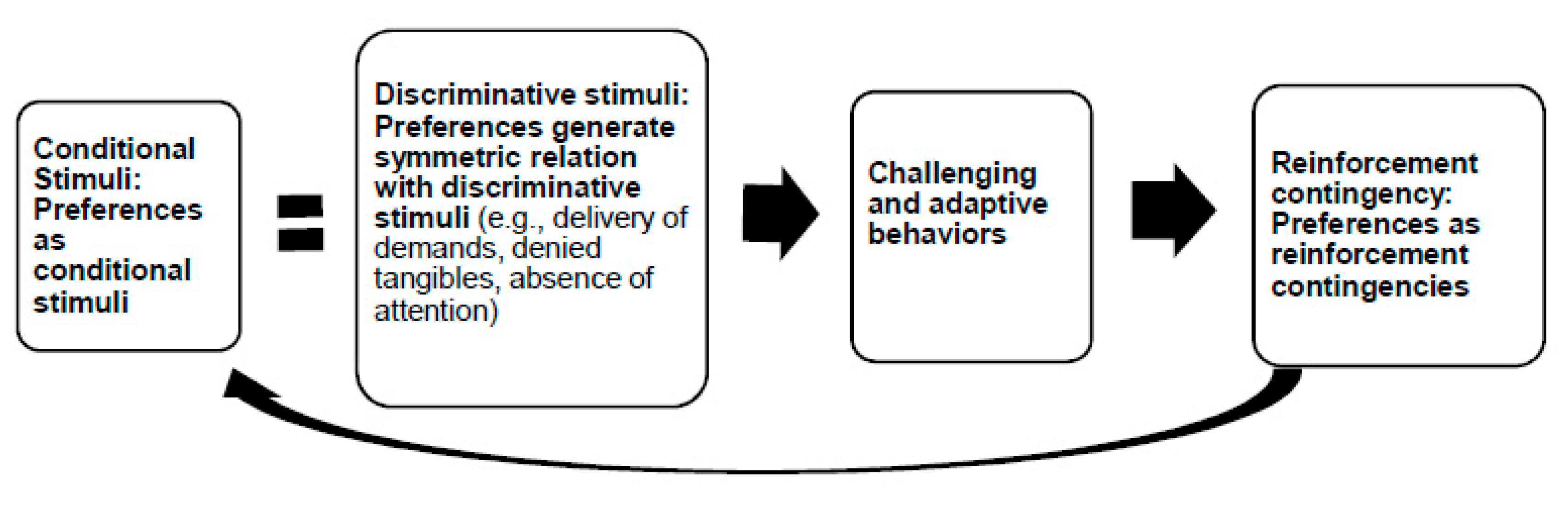 Shining a Light on the Challenging Behaviors of Adolescents with ...