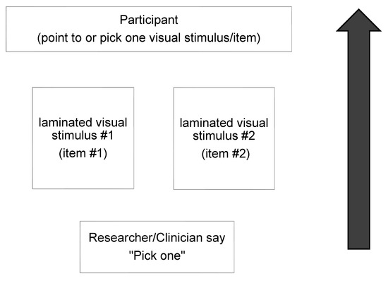 Shining a Light on the Challenging Behaviors of Adolescents with ...