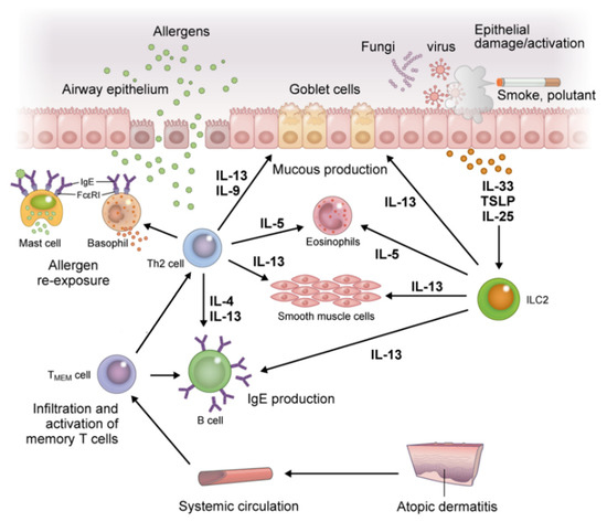 Current Insights into Atopic March