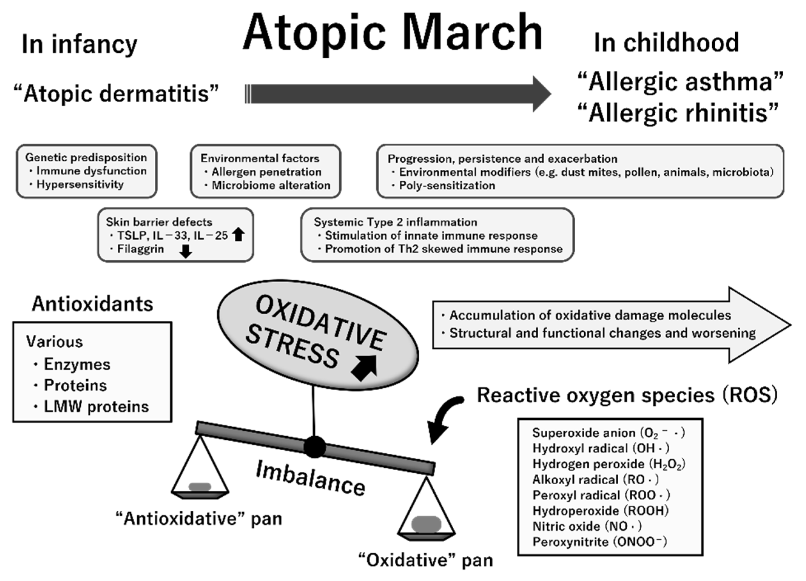 Children | Free Full-Text | Current Insights into Atopic March