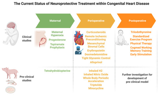 The Current Status of Neuroprotection in Congenital Heart Disease
