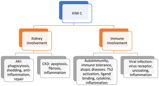 Current Knowledge of Selected Cardiovascular Biomarkers in Pediatrics ...