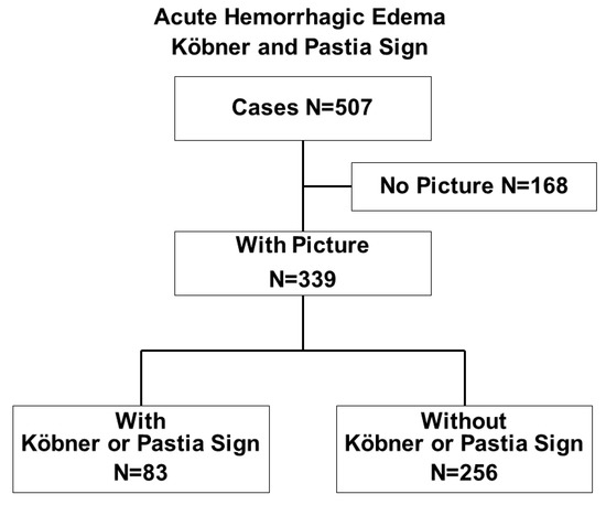 Köbner and Pastia Signs in Acute Hemorrhagic Edema of Young Children ...