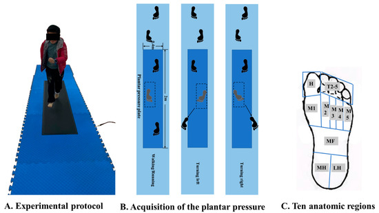 Understanding Foot Loading and Balance Behavior of Children with Motor ...