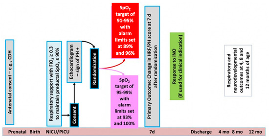 Factors to Consider to Study Preductal Oxygen Saturation Targets in ...